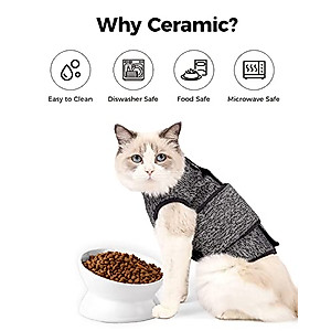 LoeJan Elevated Cat Food Bowl, 5 Oz Ceramic Raised and Tilted Water Bowl, Anti Vomiting and Protect Pets' Spines Dishes for Small Dog, Fat Faced Cat, Kitten (White, 1 Pack)