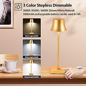 LED Desk Lamp Cordless Table Light, Rechargeable Battery Powered USB Charging Port 3 Levels Brightness Dimmable for Outdoor Modern Restaurant Dining Bedroom Study Portable Lights Set of 2 Pack Gold