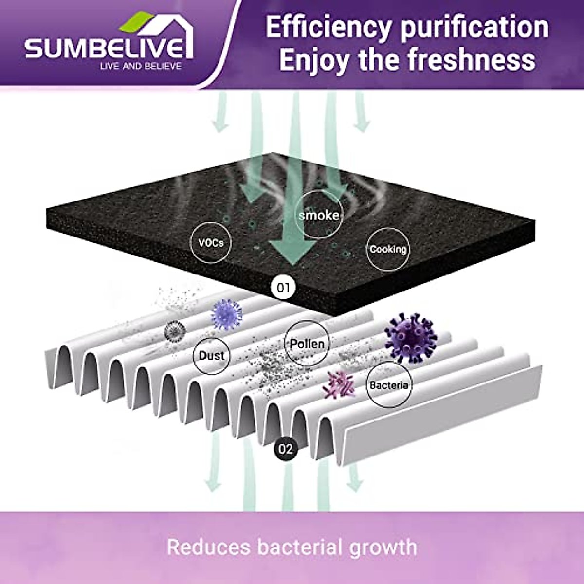 115115 replacement Filter for Winix Air Purifier C535 Filter A, 2 True HEPA(H13) Filter + 8 Activated Carbon Filters （2 Sets-A Total of 10）