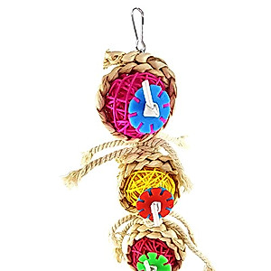 WeiLaiKeQi Pet Bird Toys Parrot Toys for Chewing