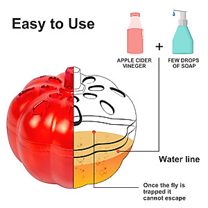 4 Pack Fruit Fly Traps Indoor, Gnat Killer for Indoor, Fly Trap for Home, Gnat Traps Indoor