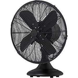 Fanimation FP6274BL Breeze 12 inch, Fan, Black
