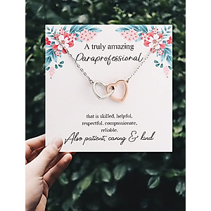 TIIMG Paraprofessional Gift A truly Amazing Paraprofessional Gift Teaching Assistant Gift (Paraprofessional)