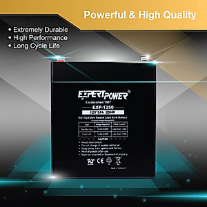 ExpertPower EXP1250 12V 5Ah Home Alarm Battery with F1 Terminals