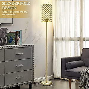 RAYINIGHT Gold Floor Lamp,Elegant Crystal Floor Lamp Modern Standing Lamp with On/Off Foot Switch,Tall Pole Accent Lighting for Living Room, Girl Bedroom, Dresser, Office