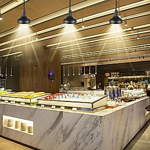 Food Warmer Lamp, 250W Bulb Commercial Food Warming lamp, Portable Commercial Food Warmers Lamp Food Warmer Light Hangs Food Heating Lamps for buffets, Restaurants - Black (29cm Caliber Two Pack)