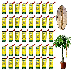 40 Pack Fly Strips Indoor Sticky Hanging, Fly Paper Fly Traps Indoors Outdoor, Fly Tape Catcher Ribbon for Home, Fruit Fly Gnat Trap Killer