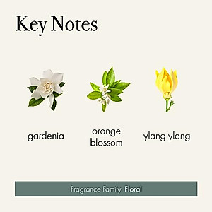 LAFCO Home Fragrance Mist, Fresh Cut Gardenia, 4 Fl oz.