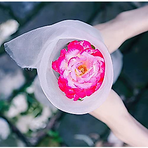 Ultra Fine Garden Insect Netting: 15'x15' Bug Netting Mesh Row Cover Screen Cicada Barrier for Protecting Vegetables Fruits Flowers Raised Plants