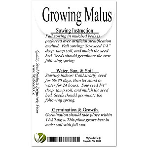 Malus sargentii (Sargent's Crabapple) Tree Seed, Fragrant White Flowers, Small, Dark red, Persistent Fruits, You Choose The Quantity (1 Pack)