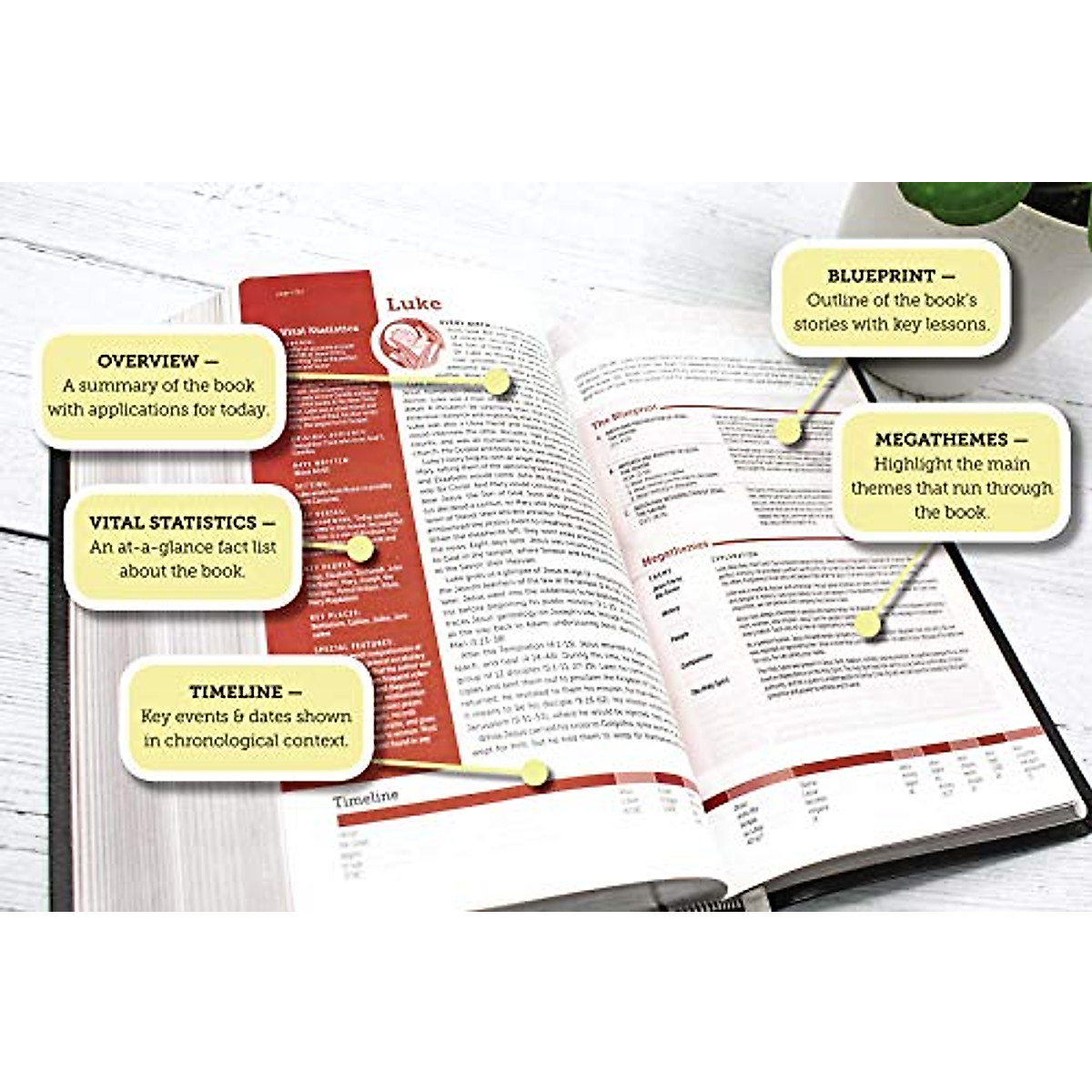 NIV, Life Application Study Bible, Third Edition, Personal Size, Leathersoft, Brown, Red Letter