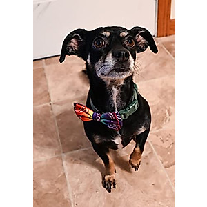 H&K Bow Tie for Pets | Bone-Dana Multi (Small) | Velcro Bow Tie Collar Attachment | Fun Bow Ties for Dogs & Cats | Cute, Comfortable, and Durable | Huxley & Kent Bow Tie