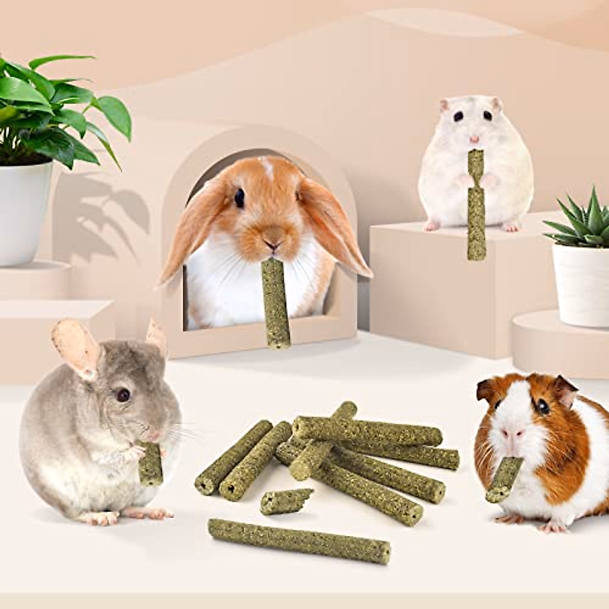 Bissap Timothy Hay Sticks for Rabbits 38PCS, Natural Timothy Grass Molar Teeth Stick Chew Toys for Bunnies Chinchillas Guinea Pigs Hamsters and Other Small Animals Treats