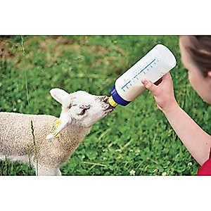 Premier 1 Lamb 'N' Kid Feeding Bottle with Pritchard Teat