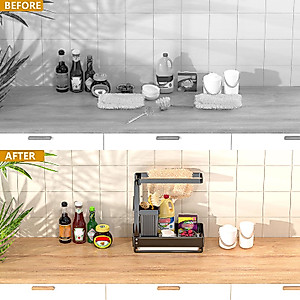 Yawinhe Sponge Holder, Sink Caddy Organizer with Detachable Brush Rack, Kitchen Accessories for Organization, Stainless Steel, Black