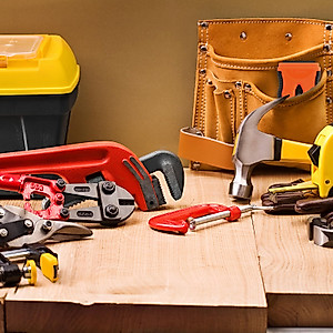 Lconvicely Double Razor Blade Scraper Tool, Cleaning Razor Scraper with 20Pcs Blades, for Cleaning Paint/Labels/Sticker/Stove/Window/Oven/Caulk