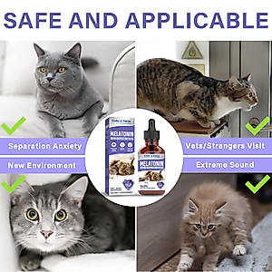 Atrilly Cat Melatonin, Melatonin for Cats, Natural Cat Calming Drops, Anxiety & Stress Relief, Promote Relaxation & Deep Sleep for Cat & Dog, 60ml, Purple