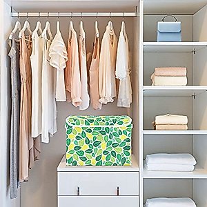 CaTaKu Abstract Leaf Storage Bins with Lids and Handles, Fabric Large Storage Container Cube Basket with Lid Decorative Storage Boxes for Organizing Clothes