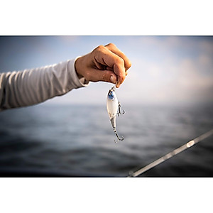 Berkley Flicker Shad Shallow Fishing Lure, Firetail Hot Perch, 2/7 oz, 2 3/4in | 7cm Crankbaits, Size, Profile and Dive Depth Imitates Real Shad, Equipped with Fusion19 Hook