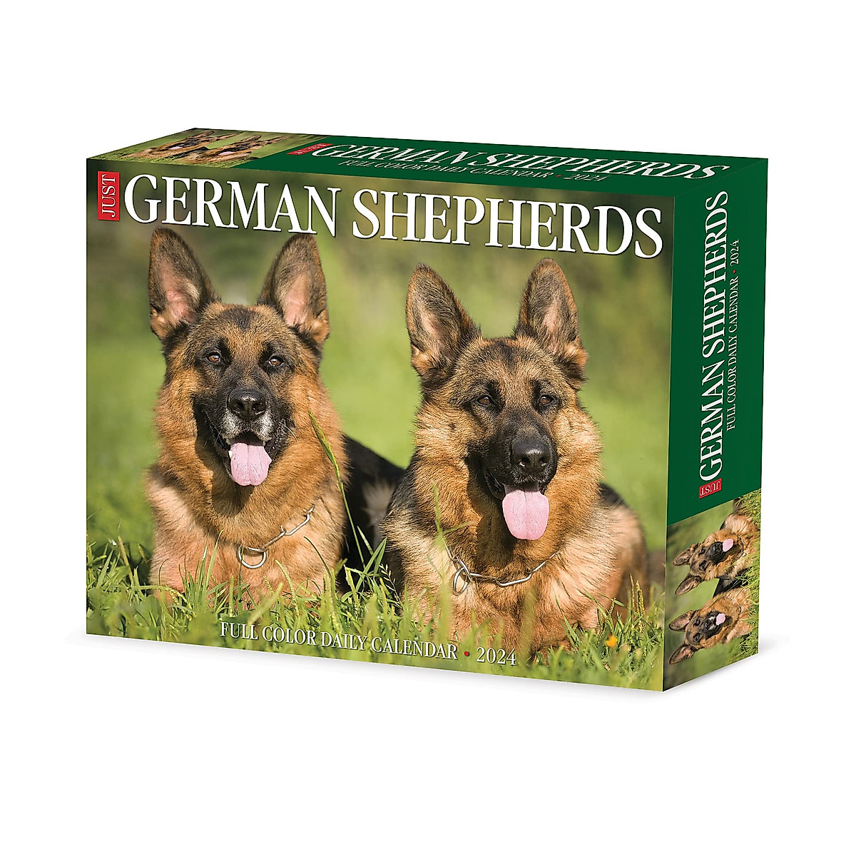 Willow Creek Press German Shepherds Daily 2024 Box/Desk Calendar (5.86" x 4.72")