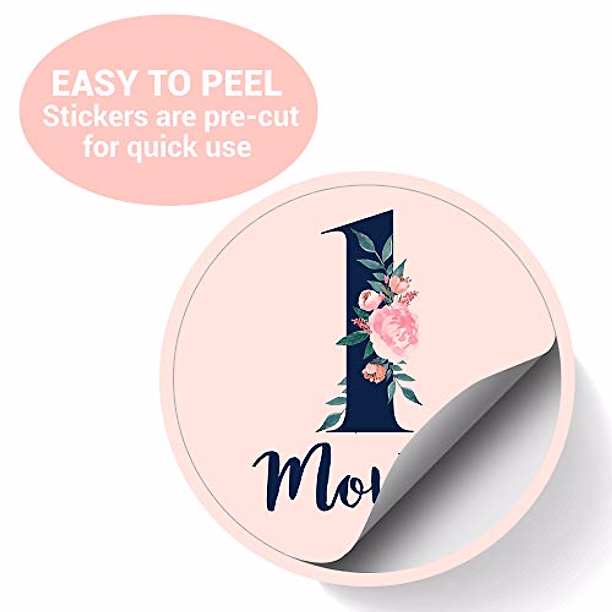 Baby Monthly Stickers | Floral Baby Milestone Stickers | Newborn Girl Stickers | Month Stickers for Baby Girl | Baby Girl Stickers | Newborn Monthly Milestone Stickers (Set of 24)