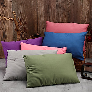 Kigley Mini Pillows for Daycare 9.1 x 13.8'' Small Travel Pillow Bulk Soft Breathable Cotton Pillow for School Nap Travel Pet Neck Lumbar Purse Insert