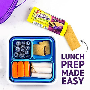 Newtons Soft & Fruit Chewy Fig Cookies, 48 Snack Packs (2 Cookies Per Pack, 4 Boxes)