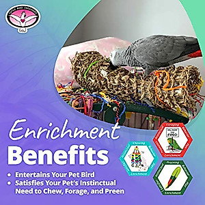 Super Bird Creations SB707 Seagrass Foraging Pouch Bird Toy, Large Bird Size, 14” x 8” x 13”