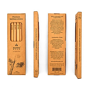 5 Bamboo Straw kit - Luxury Quality: 5 Reusable Straws of 20cm/7.9" from the SIGNATURE Line by Bamboo Step and a Cleaning Brush in a kraft paper box. (Regular Diameter Size: 0.35” / 9mm)
