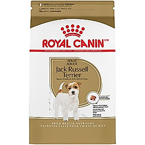 Royal Canin Jack Russell Terrier Adult Dry Dog Food, 10 lb bag