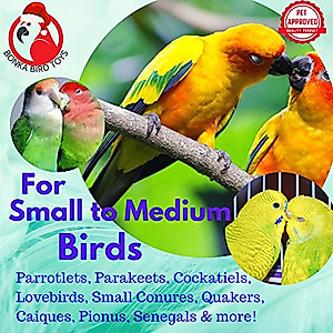 Bonka Bird Toys Merry Christmas Festival Small Bird Toy Natural Sola Chew Foraging Treat Cockatiels Parakeets Conures and Similar Birds (2454 Green)