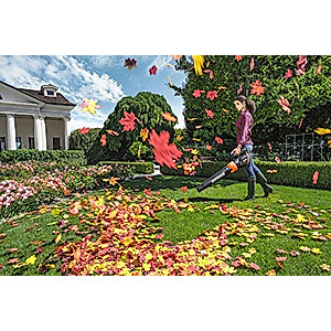 WORX 20V Turbine Cordless Two-Speed Leaf Blower Power Share - WG547 (Battery & Charger Included)