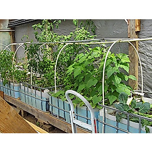 Aquaponics Bell Siphon Kit For IBC Growbed 12" Media: Easily Adjustable! Over 7000 Siphons Sold Worldwide So Buy With Confidence!