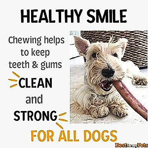 Best For My Pets Odor Free Bully Sticks, Long-Lasting Chews to Keep Puppies and Dogs Happily Busy, All-Natural Fully Digestible, 6-Inch Long, 8-Ounce Bag