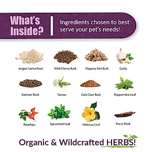 Amber NaturalZ Adizone Herbal Supplement for Dogs | Canine Herbal Supplement for Occasional Soreness, Stiffness, Aches and Discomfort | 1 Fluid Ounce Glass Bottle | Manufactured in The USA