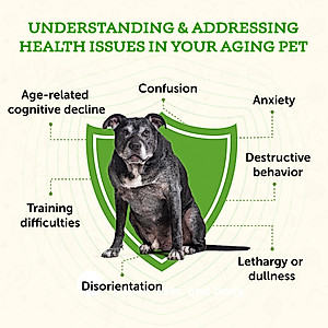 Animal Essentials Brain Awake for Dogs & Cats - Cognitive Support Supplement, Senior Support, Lion's Mane, Brain Health, Herbal Formula - 1 Fl Oz