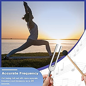 TENFLY 528 Hz Tuning Fork for Healing, DNA Repair, Reliever Stress and Perfect Musical Instrument, Frequency of Love, Silver, with Black Rubber Mallet, Triangular Silicone and Velvet Storage Bag