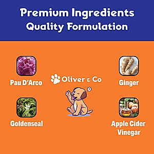 Natural Antibiotics for Dogs - Dog Antibiotics - Dog Itch Relief - Yeast Infection Treatment for Dogs - Dog Antibiotic - Dog Ear Infection Treatment - Pet Antibiotics - Antibiotic for Dogs - 1 oz