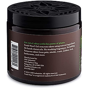 Fresh Wave Lavender Odor Removing Gel, 15 oz. | Odor Absorbers for Home | Safer Odor Relief | Natural Plant-Based Odor Eliminator | Every 15 oz. lasts 30-60 Days | For Cooking, Trash & Pets