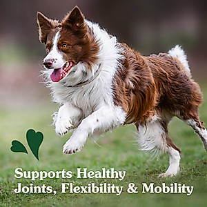 Greenies Hip & Joint Soft Chew, Dog Joint Supplement with Chondroitin and Glucosamine for Dogs, Joint Support Supplements, Chicken Flavor, 80-Count Tub, Pack of 2