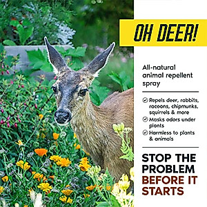 Zone Protects Oh Deer! Deer and Animal Repellent Spray. Stop Deer, Rabbits and Other Animals from Eating Your Garden.32oz Ready-to-Use.