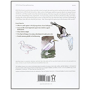 The Laws Guide to Drawing Birds