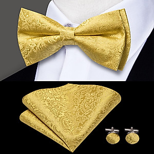 Dubulle Gold Suspender Paisley bowtie Set Silk Brace Adjust Elastic Suspender Set