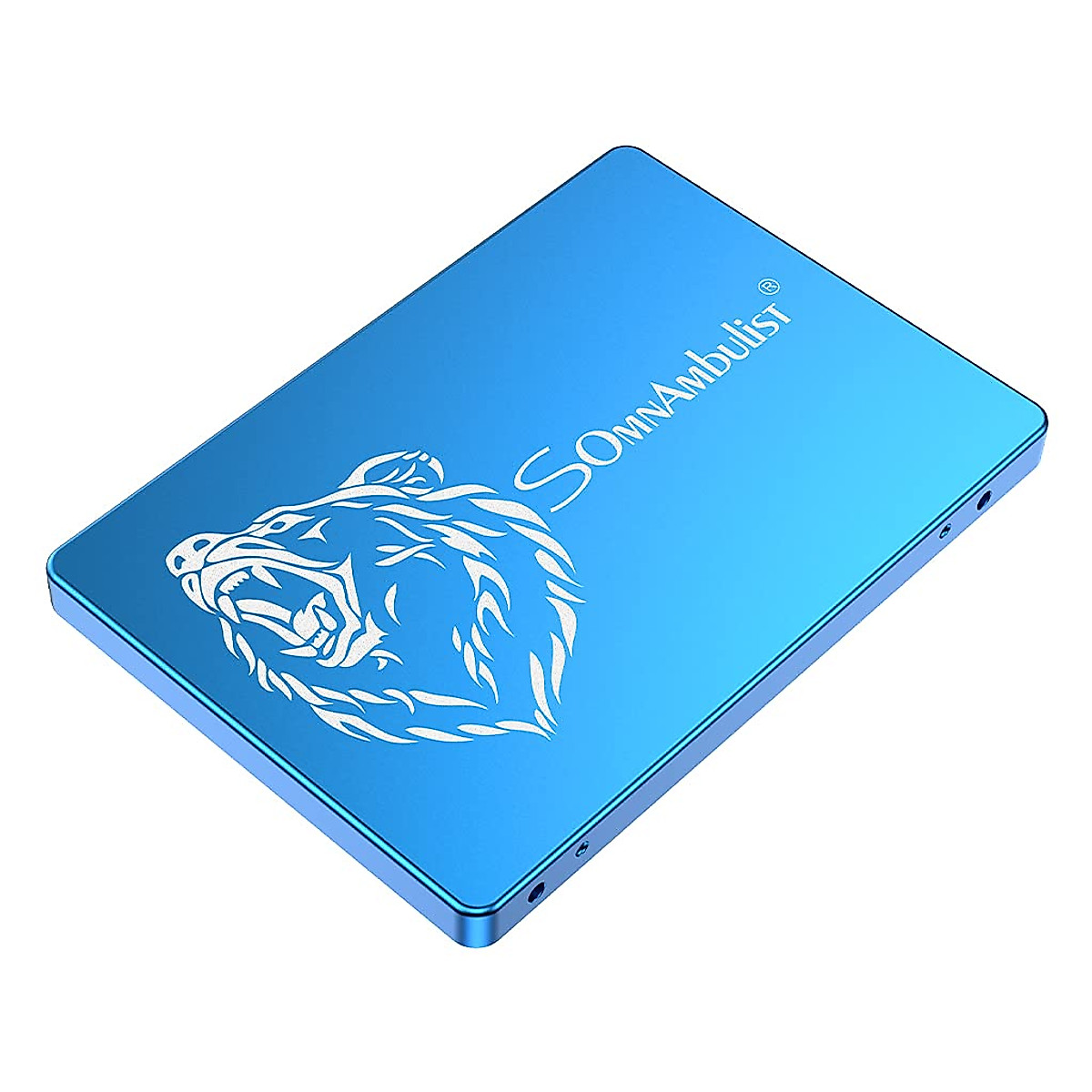 Somnambulist Laptop/Desktop SSD 2.5" SATA3 120gb 240gb 60gb SSD Solid State (Blue Bear-120GB)
