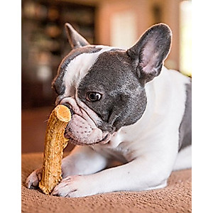 Pet Qwerks Nylon Antler Liver Flavor - Durable Dog Bones for Aggressive Chewers, Tough Nearly Indestructible Chew Proof Toys | Made in USA - for Large & Medium Dogs (A7)