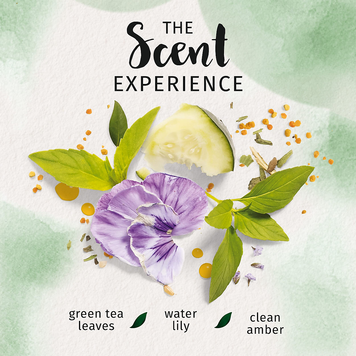 Herbal Essences bio:renew Cucumber & Green Tea Sheer Moisture Shampoo, 13.5 fl oz (Packaging May Vary)