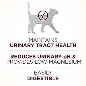 Purina ONE High Protein Dry Cat Food, +Plus Urinary Tract Health Formula - 16 lb. Bag