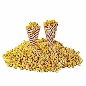 Popcorn Supply Company | Cone-O-Corn Popcorn Cups | Pack of 250