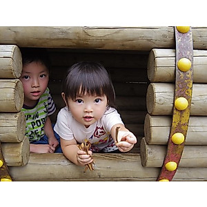 Pentax Q7 (Black) Zoom Lens Kit with 02 Standard Zoom 5-15mm f/2.8-4.5 - International Version (No Warranty)