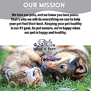 Zinc for Dogs - Dog Zinc Supplement - Helps to Support Healthy Skin, Coat, Immune Health & More - Dog Zinc - Dog Skin and Coat Supplement - Skin and Coat Supplement for Dogs - 1 fl oz - Bacon Flavor